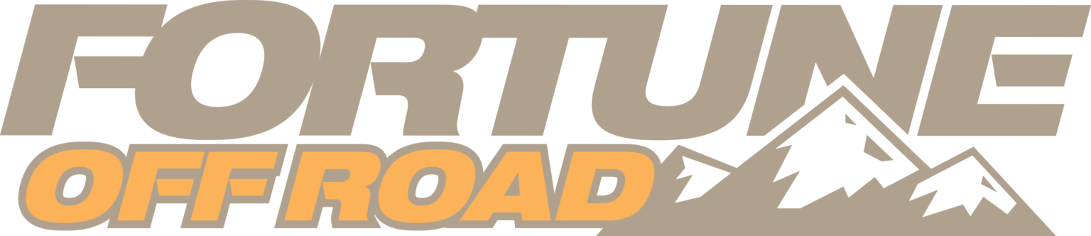 Fortune Auto - Performance Suspension Systems