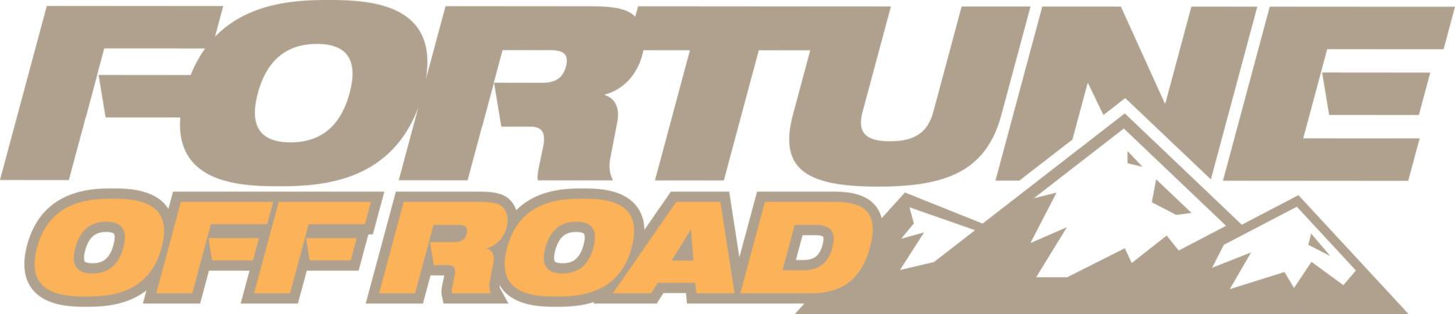 Fortune Auto - Performance Suspension Systems